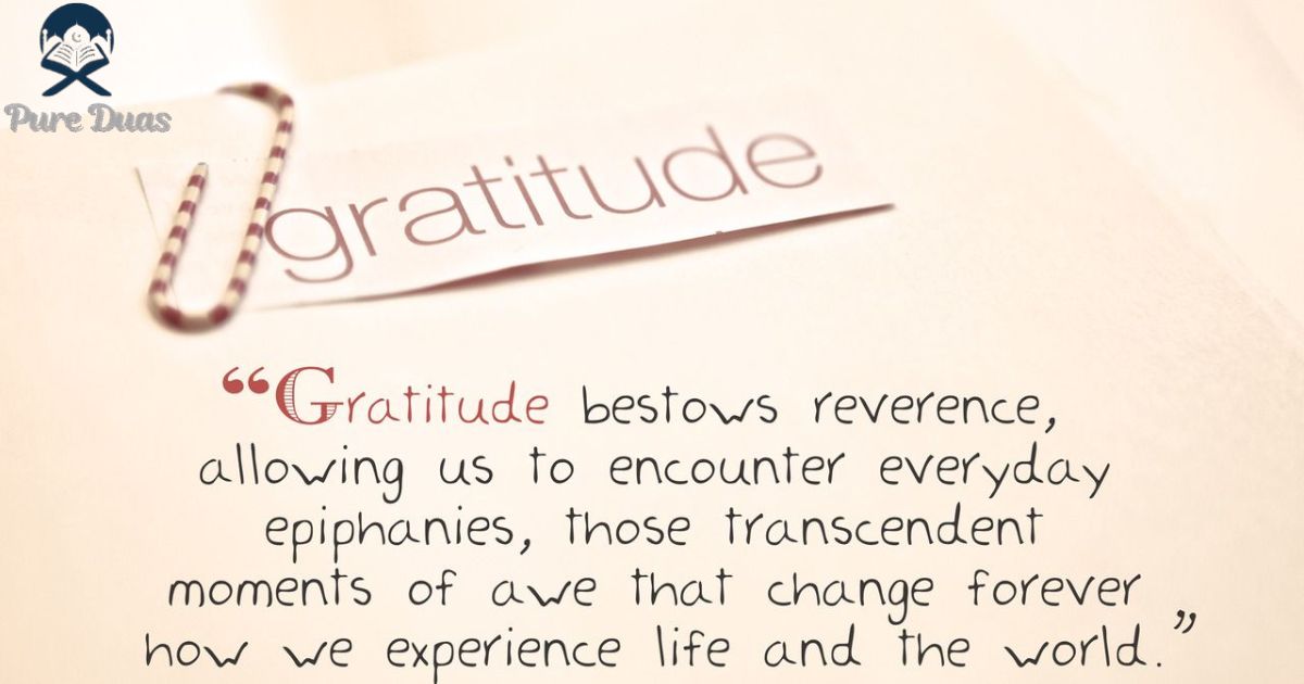 Powerful Three Point Sermons on Thanksgiving That Transform Hearts and ...